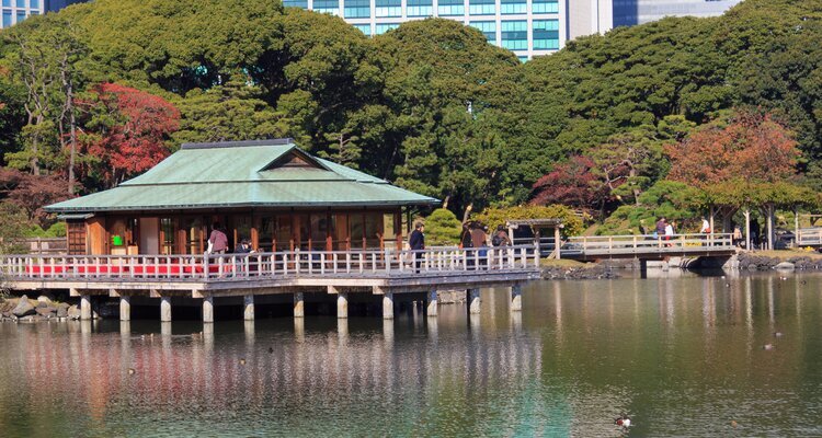 Tokyo Weather in October: Is it a Good Time to Visit Tokyo