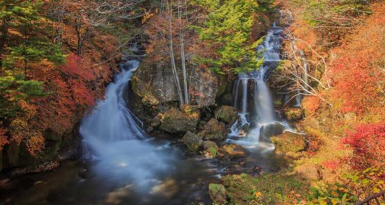 Nikko Fall Foliage 2025: When and Where to See