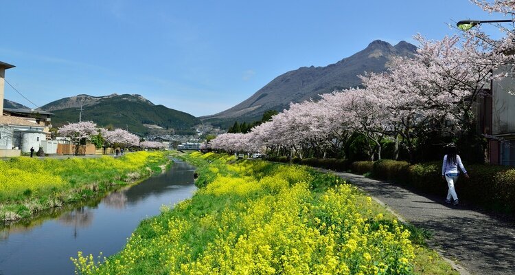 12-Day Hidden Japan Spring Tour: Secluded Blossoms, Exclusive Onsens