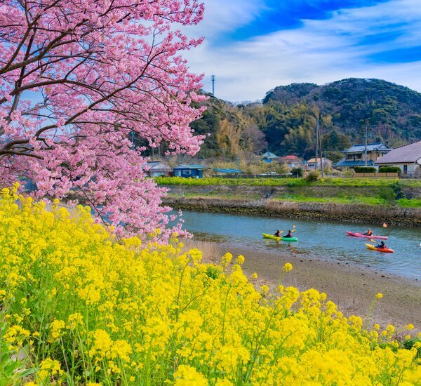 11-Day Japan Early Spring Tour: Blossoms & Coastal Bliss