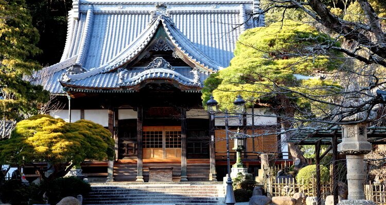 11-Day Japan Early Spring Tour: Blossoms & Coastal Bliss