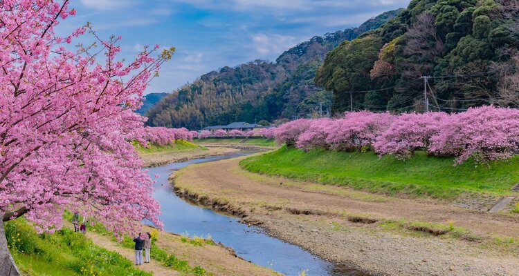 11-Day Japan Early Spring Tour: Blossoms & Coastal Bliss