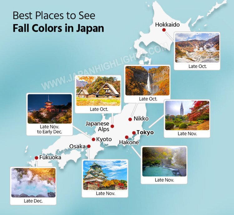 Japan Fall Foliage 2025: How to Plan the Perfect Autumn Trip