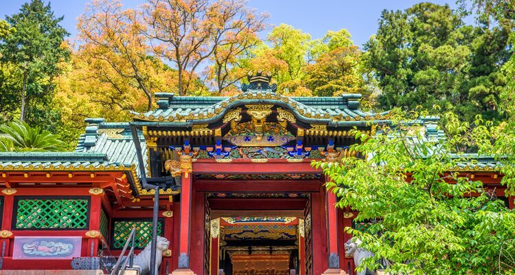 Nikko Fall Foliage 2026: When and Where to See