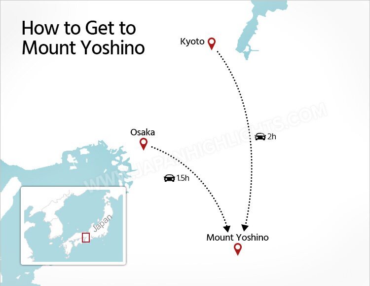Cherry Blossoms in Mount Yoshino 2027: How to Plan a Day Trip
