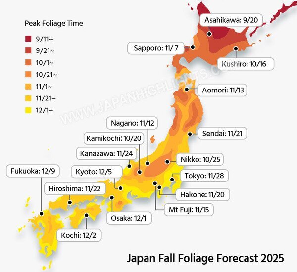 Japan Fall Foliage 2026: How to Plan the Perfect Autumn Trip