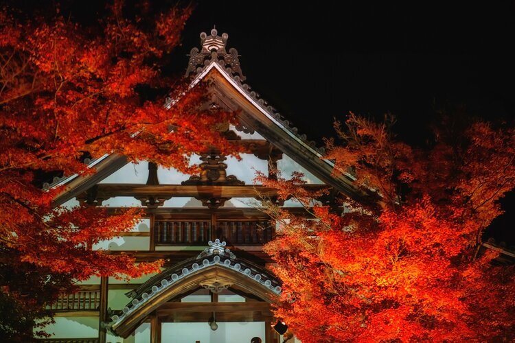 Autumn Festivals in Japan: Top 6 to Visit & How to Enjoy Them