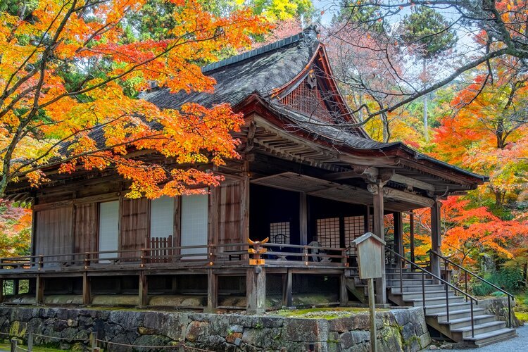 Kyoto Fall Foliage 2026: How to Enjoy the Best Autumn Colors