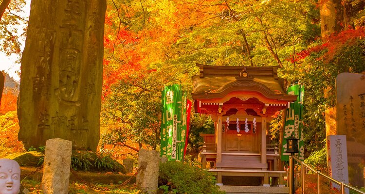 Tokyo Hiking: Top 8 Easy Trails for Beginners to Enjoy Nature Walks