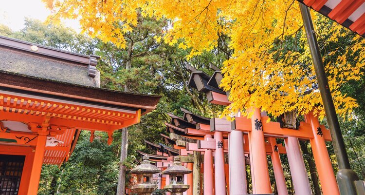 15-Day In-Depth Japan Autumn Tour with Landscapes and Tradition