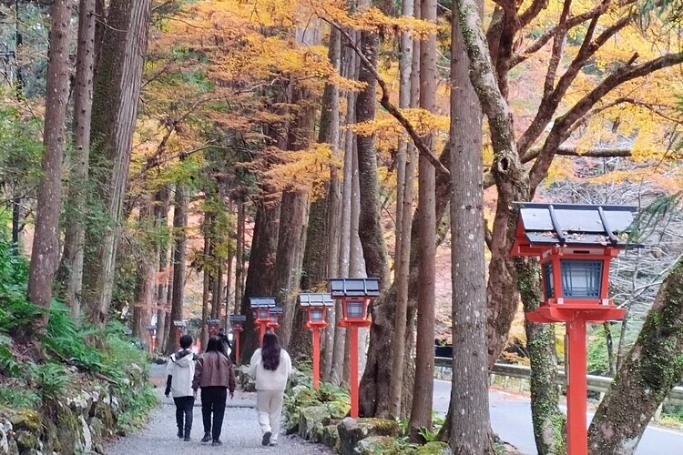 Kyoto Fall Foliage 2026: How to Enjoy the Best Autumn Colors