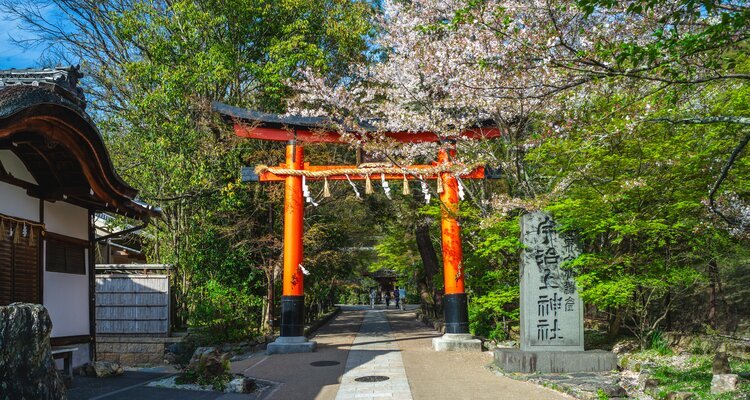 Uji Travel Guide: How to Plan a Day Trip to Uji