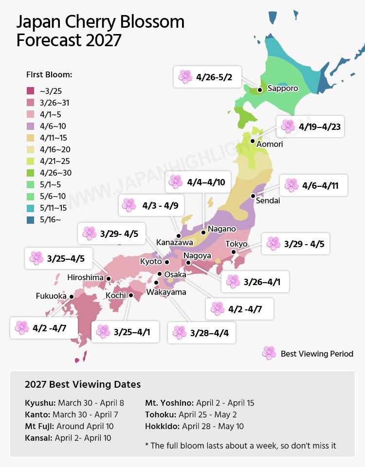 Japan Cherry Blossoms 2027 - Plan for the Full Bloom Now